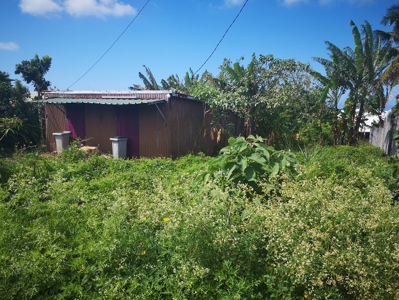 Agence immobilière à Saint-Denis la Réunion | Getim Immobilier 974