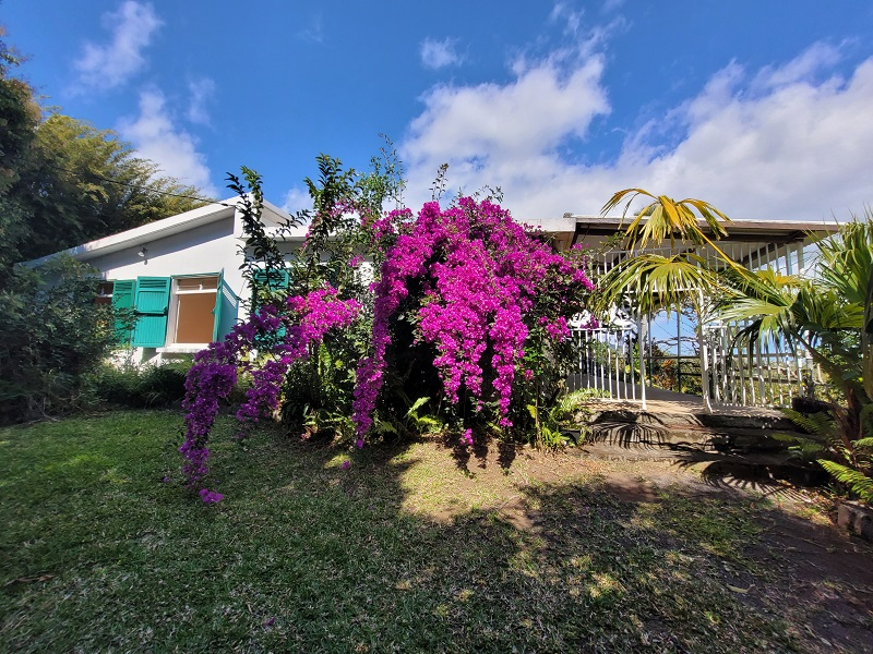 Agence immobilière à Saint-Denis la Réunion | Getim Immobilier 974